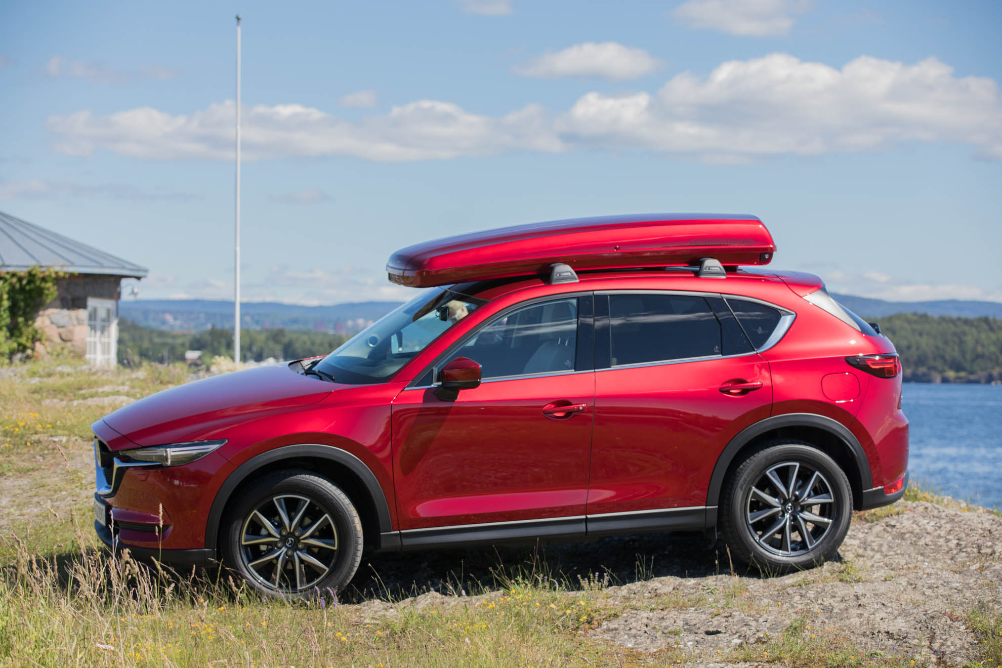 Accessories for your Skiguard